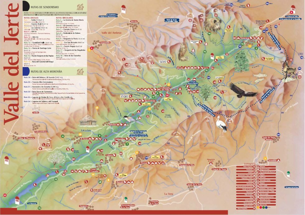 Actividades Valle del Jerte | Cerezo en flor, los pilones, barranco papuos